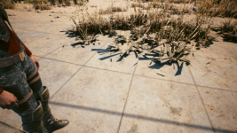 Grainy and Blocky RTX Shadows | Forums - CD PROJEKT RED